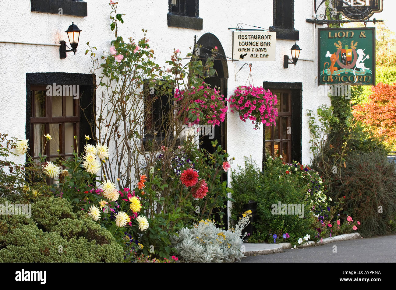 Flowers and Garden in Front of the Lion and Unicorn Pub Thornhill ...