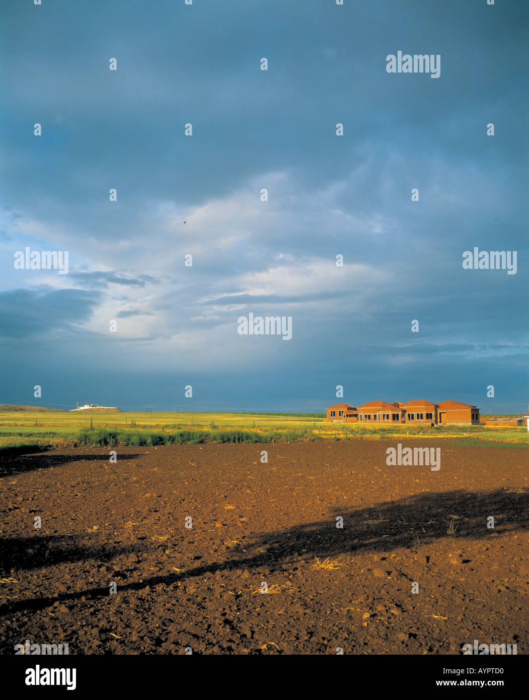 Field under Gray Clouds Stock Photo - Alamy