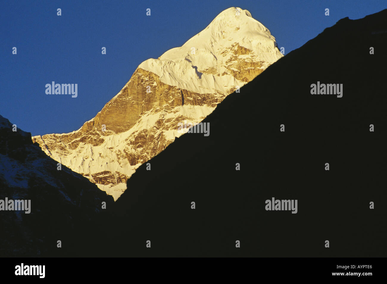 Nilkanth hi-res stock photography and images - Alamy