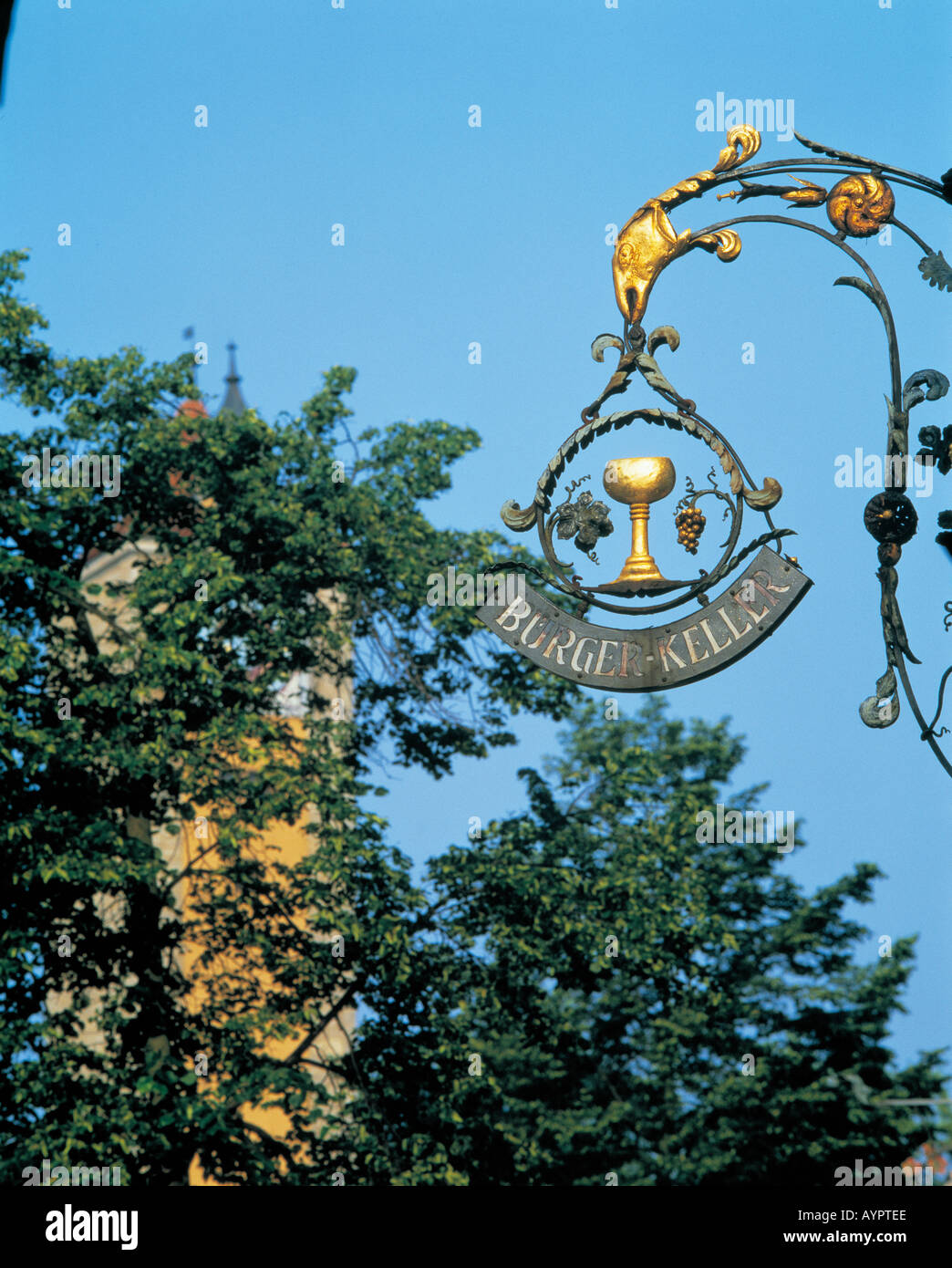 Signpost on a tree hi-res stock photography and images - Alamy