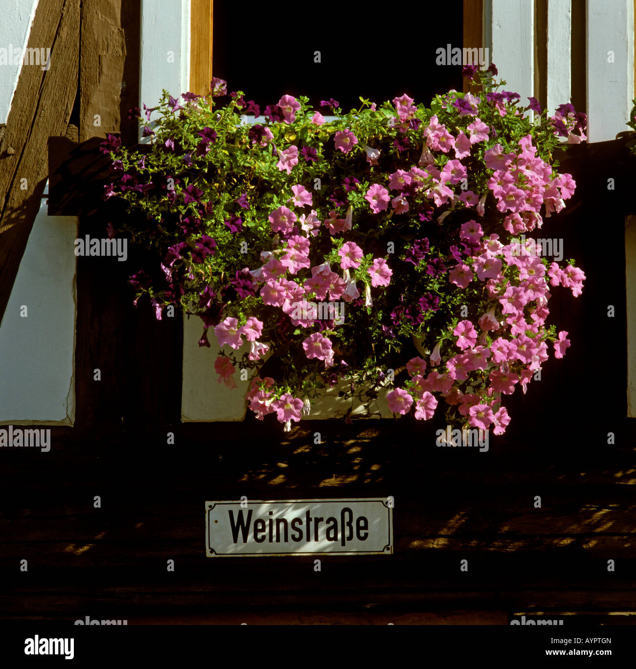 Flowers in a window box along the Deutsche Weinstrasse (German Wine ...