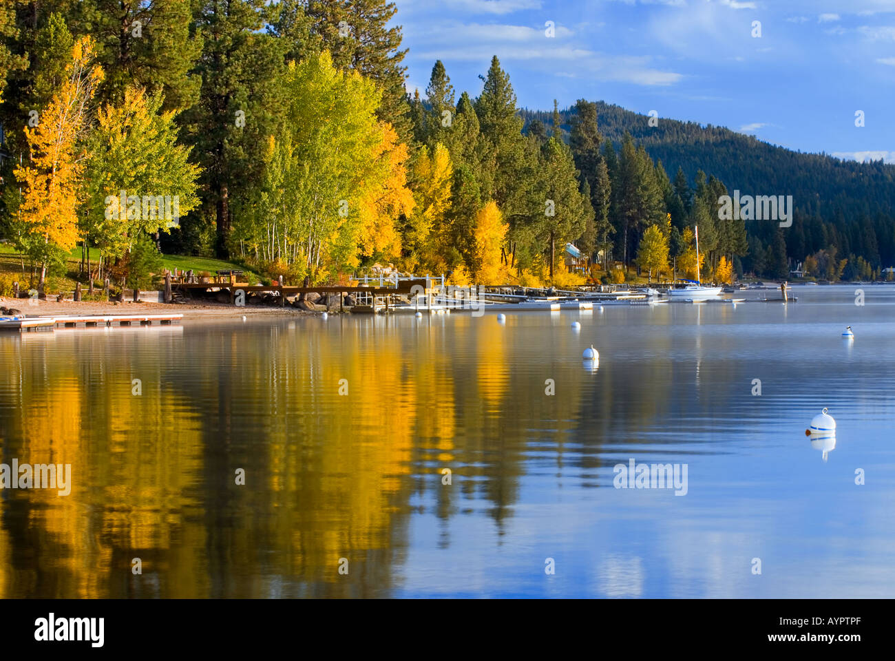 Idaho McCall The colorful shoreline of Payette Lake in fall shows off ...