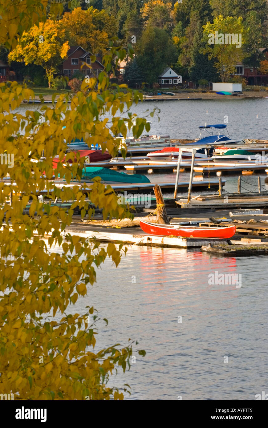 Marina mccall payette lake idaho hi-res stock photography and images ...
