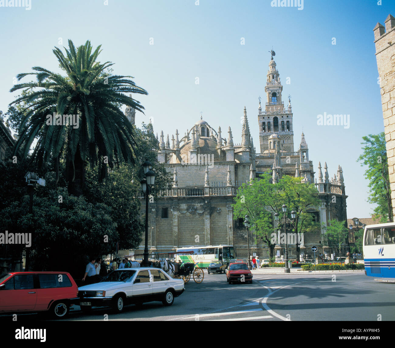Architecture with Palm Trees Stock Photo - Alamy