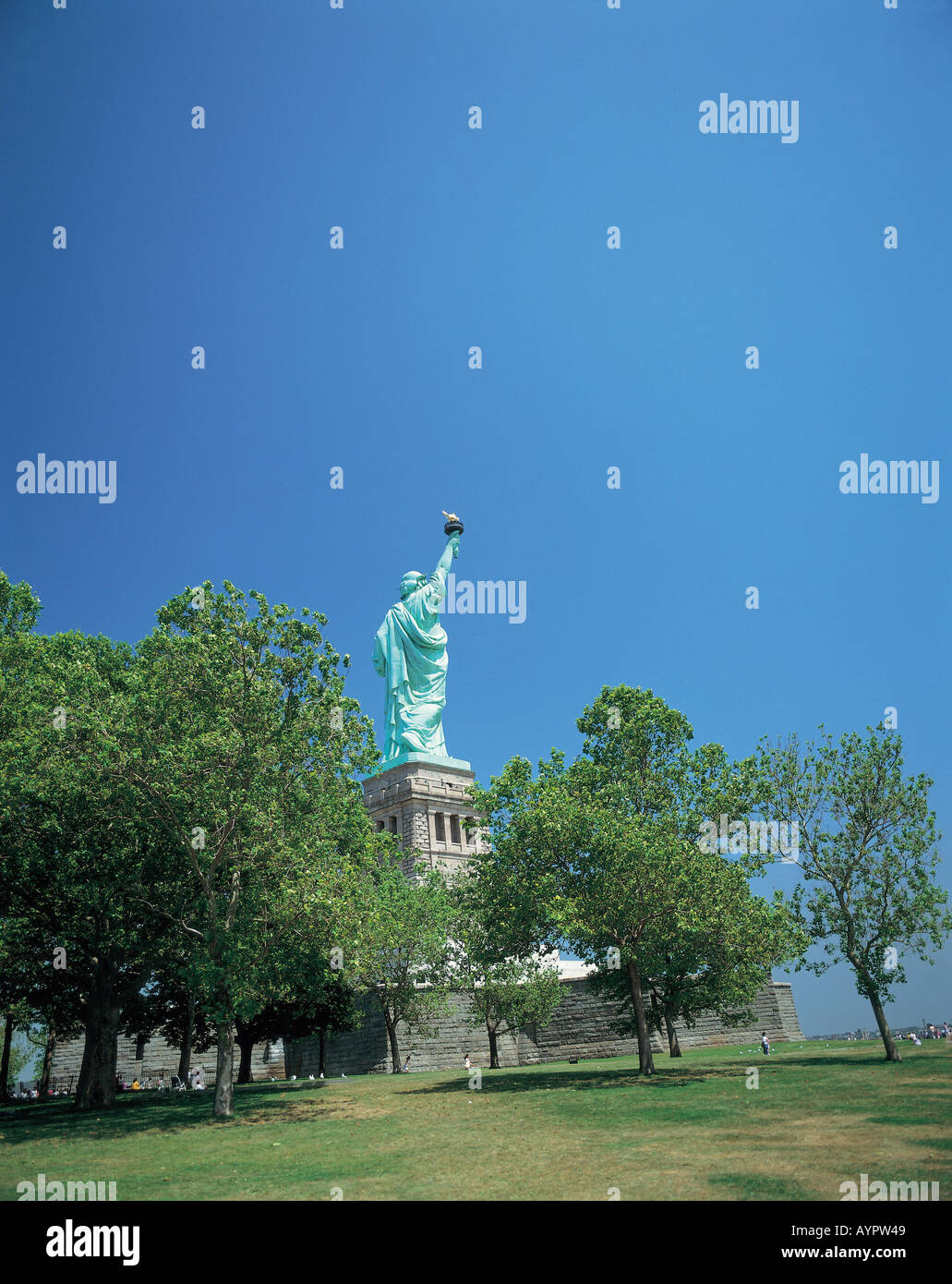 Statue of Liberty with Trees Stock Photo - Alamy