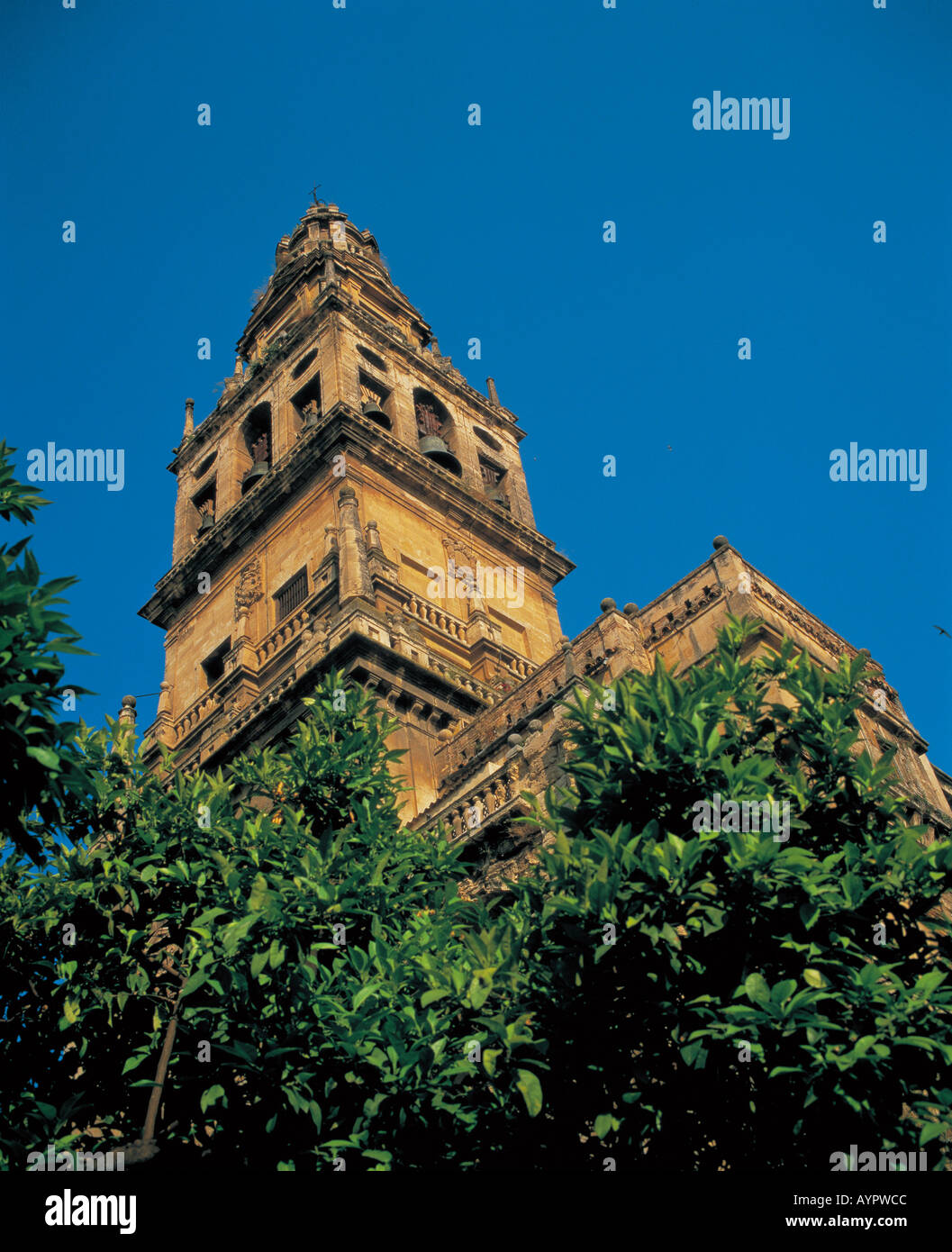 Brown Building with Trees Stock Photo - Alamy