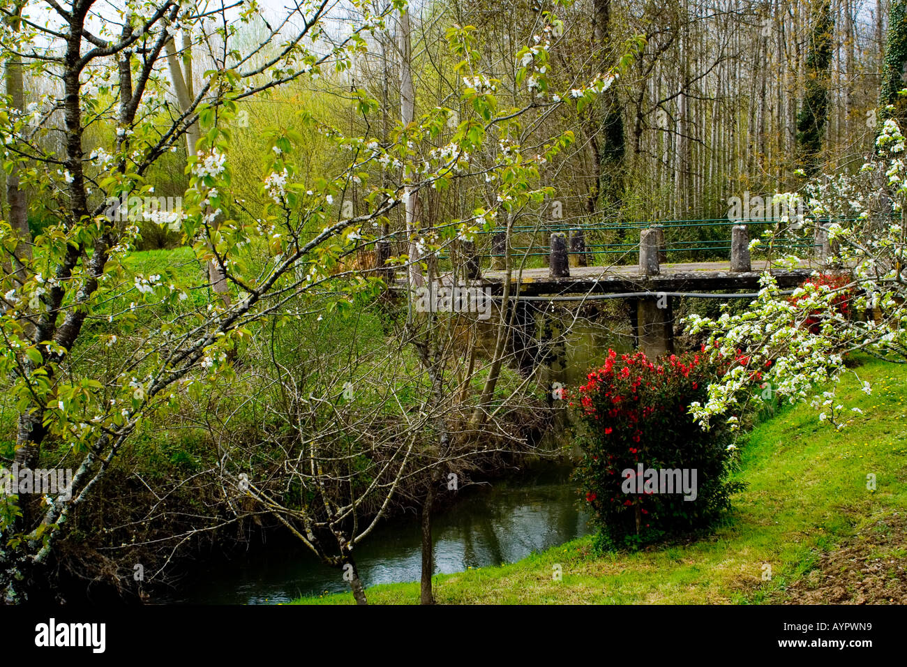 Carsac aillac hi-res stock photography and images - Alamy