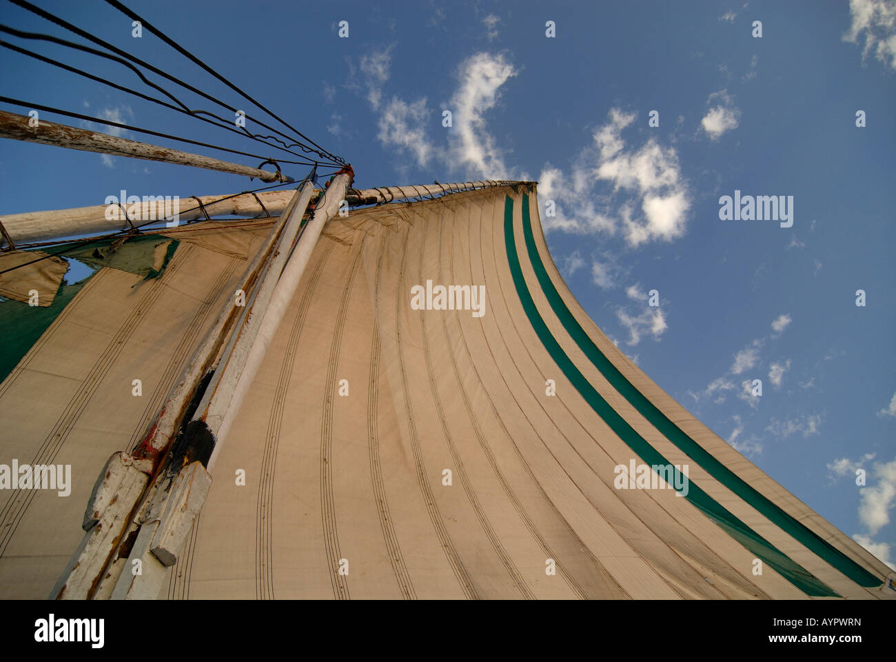Triangular lateen sail of a falucca, traditional Egyptian sailboat on ...
