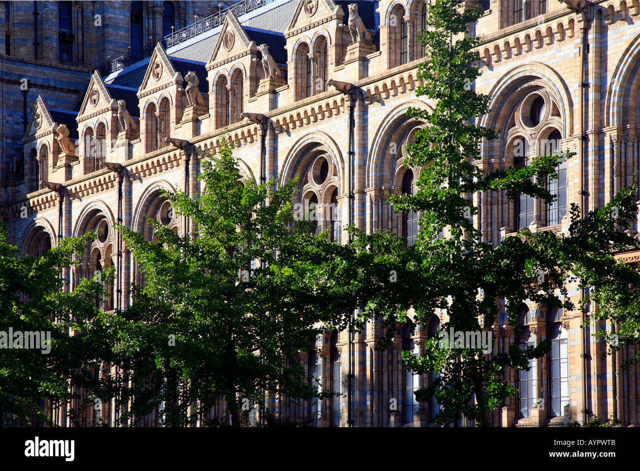 Natural history museum london front hi-res stock photography and images ...