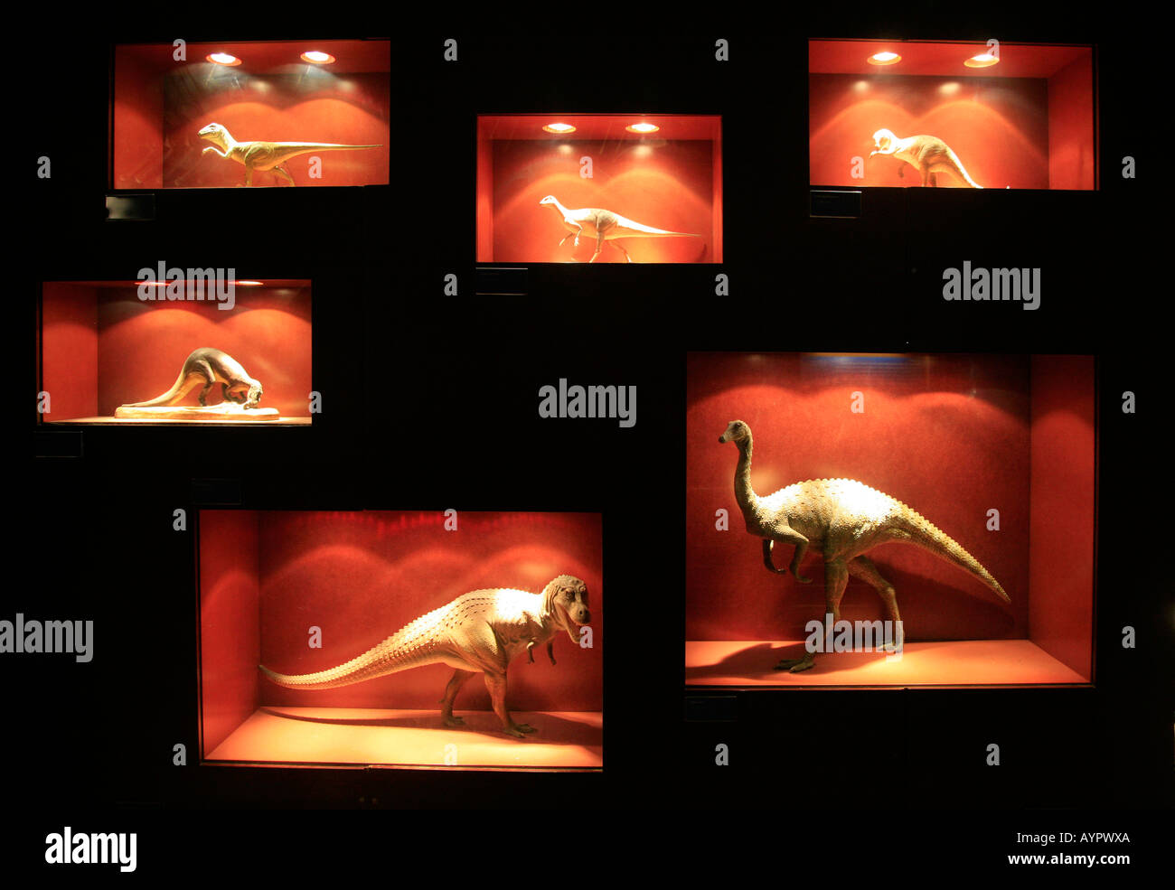 Dinosaur display in British Natural History Museum, London Stock Photo ...