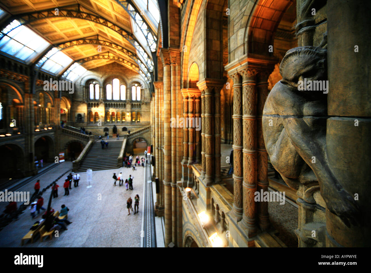 Moulded monkey detail in British Natural History Museum, London Stock ...
