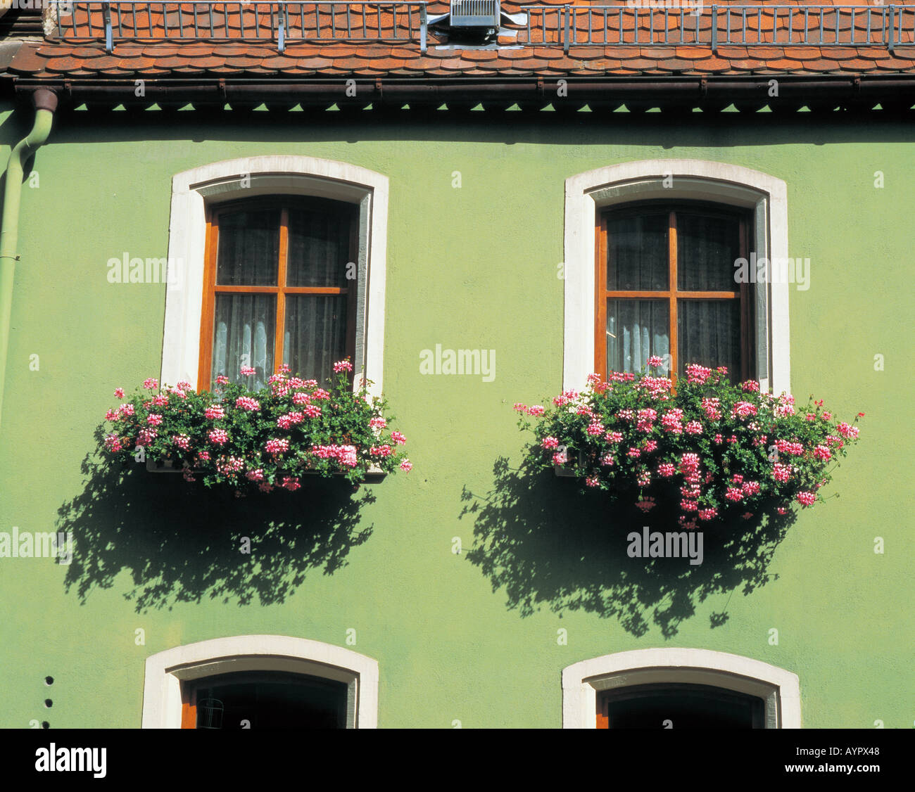 Windows with Flowers Stock Photo - Alamy