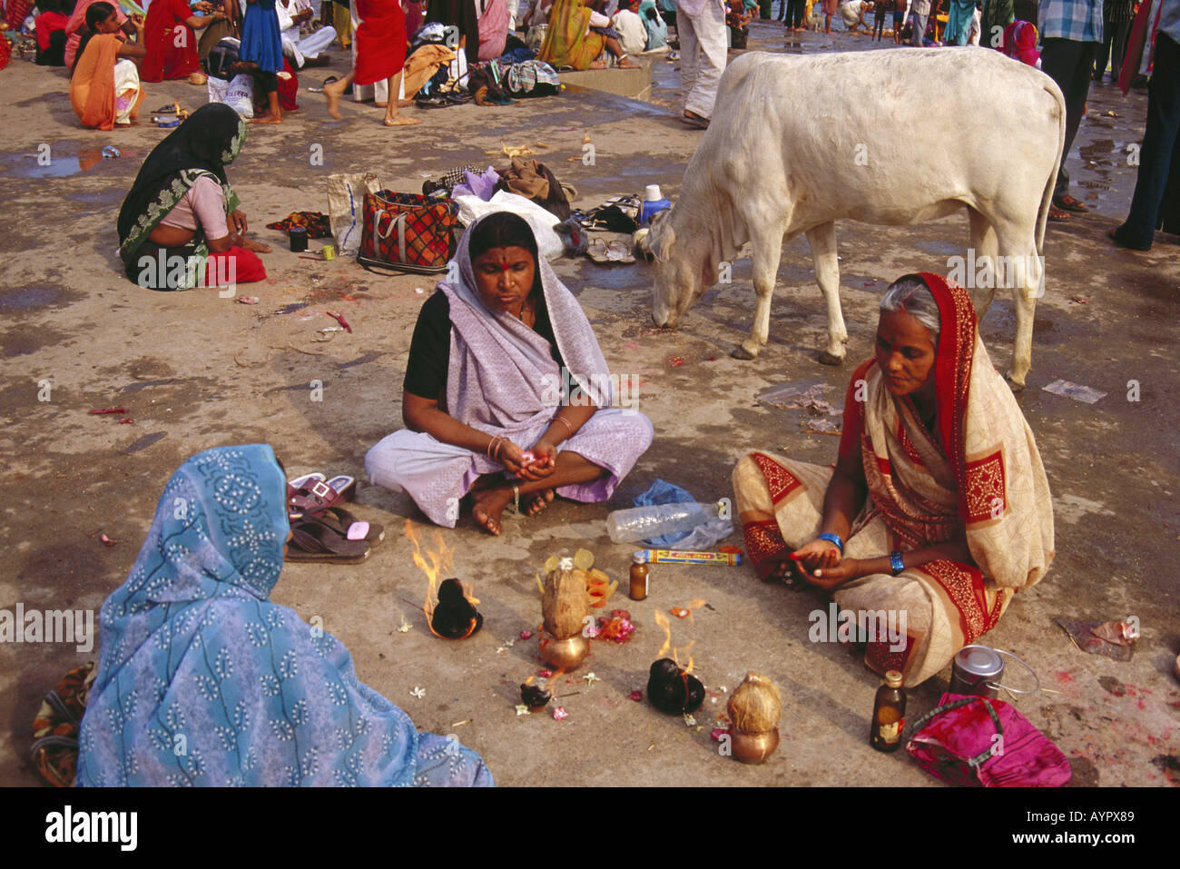 AJI74581 Pilgrims at Lord Shiva Pooja Omkareshwar Madhya Pradesh India ...