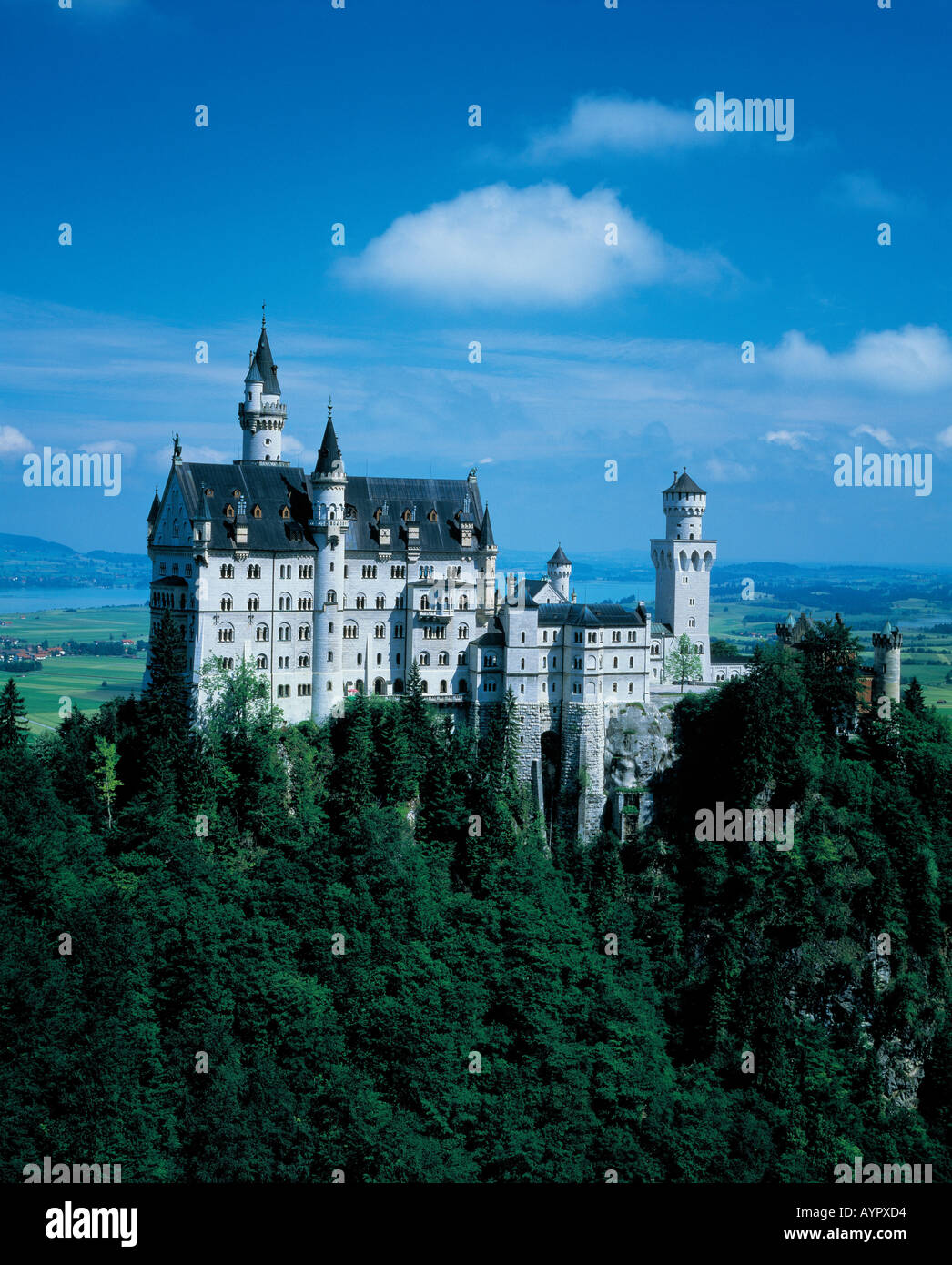 Castle within Trees Stock Photo - Alamy