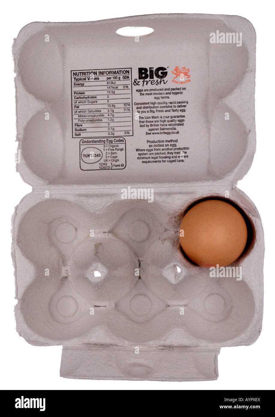 Single Egg in Egg Box Stock Photo - Alamy
