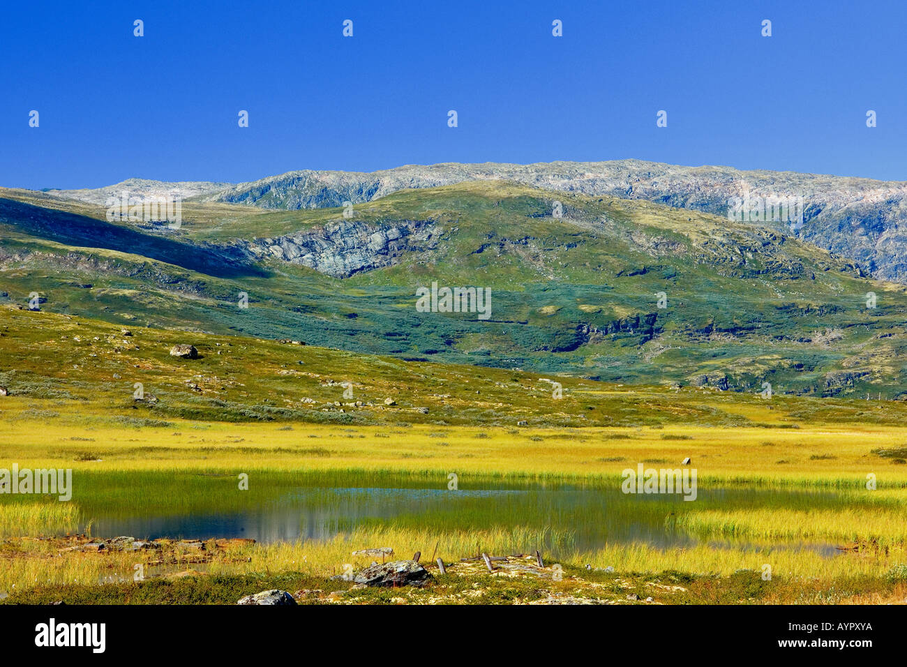 Hallingdal hi-res stock photography and images - Alamy