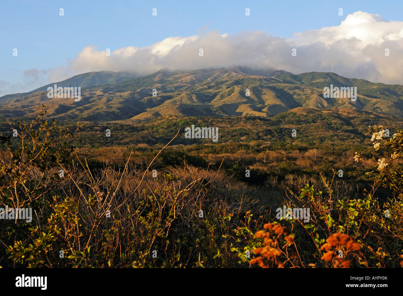 Rincon de la vieja volcano national park hi-res stock photography and ...