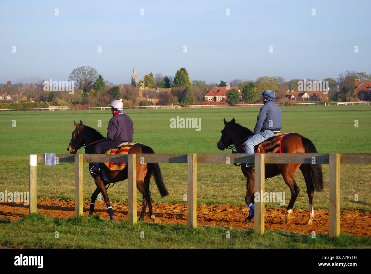Newmarket horse run suffolk hi-res stock photography and images - Alamy