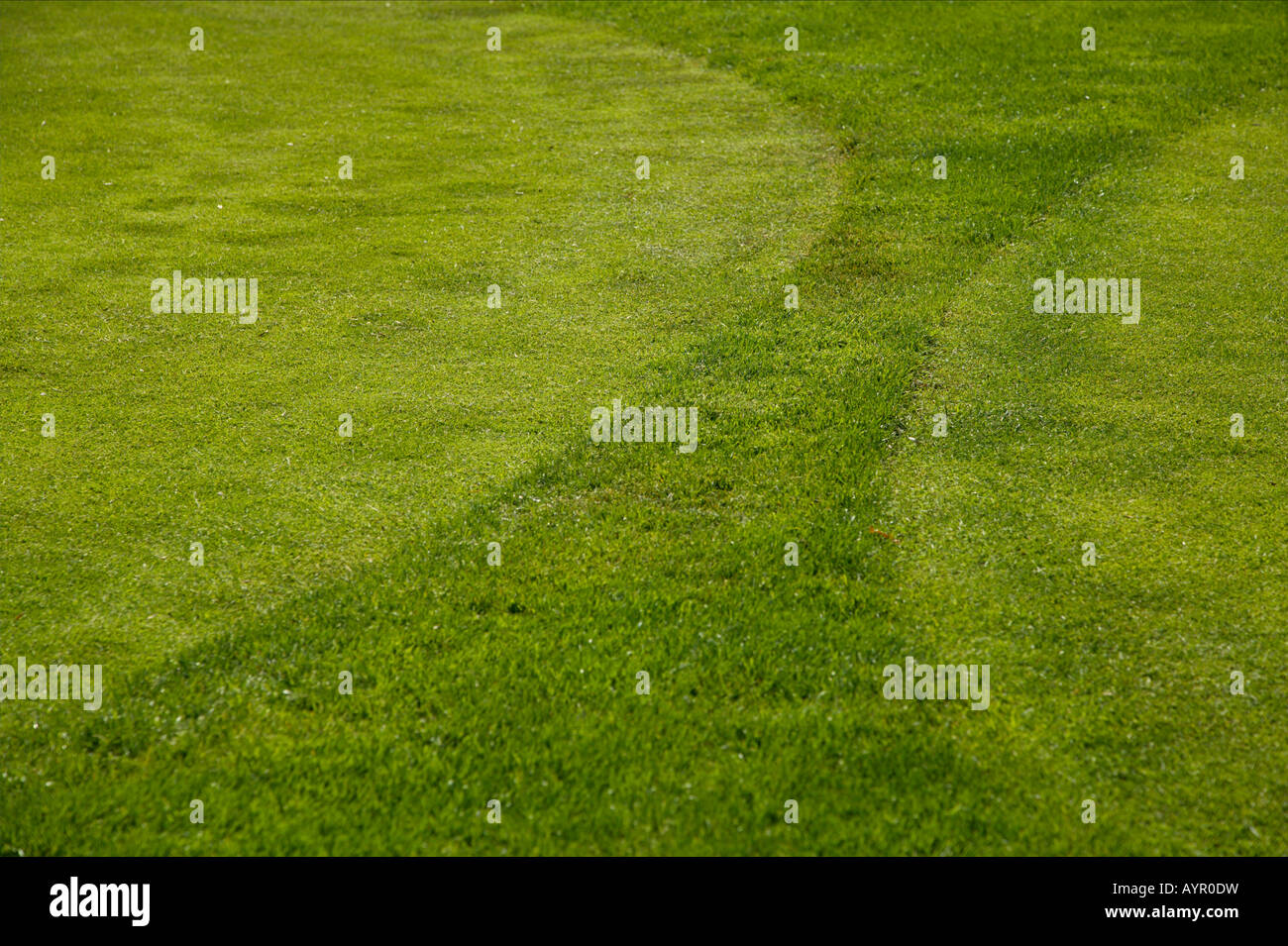 Full frame grass hi-res stock photography and images - Alamy