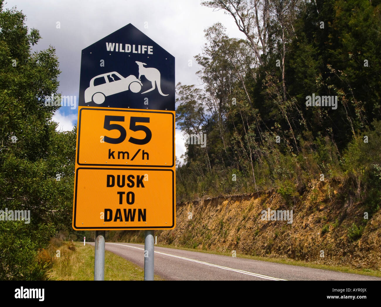 Wildlife crossing sign, dusk to dawn, Queensland, Australia Stock Photo ...