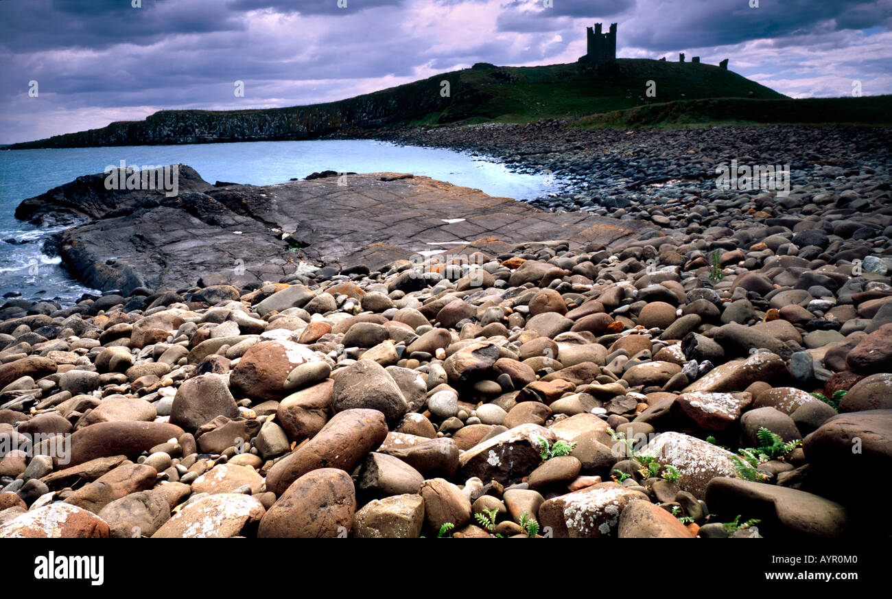 Dunstanburgh Castle Craster Northumberland England UK Stock Photo - Alamy