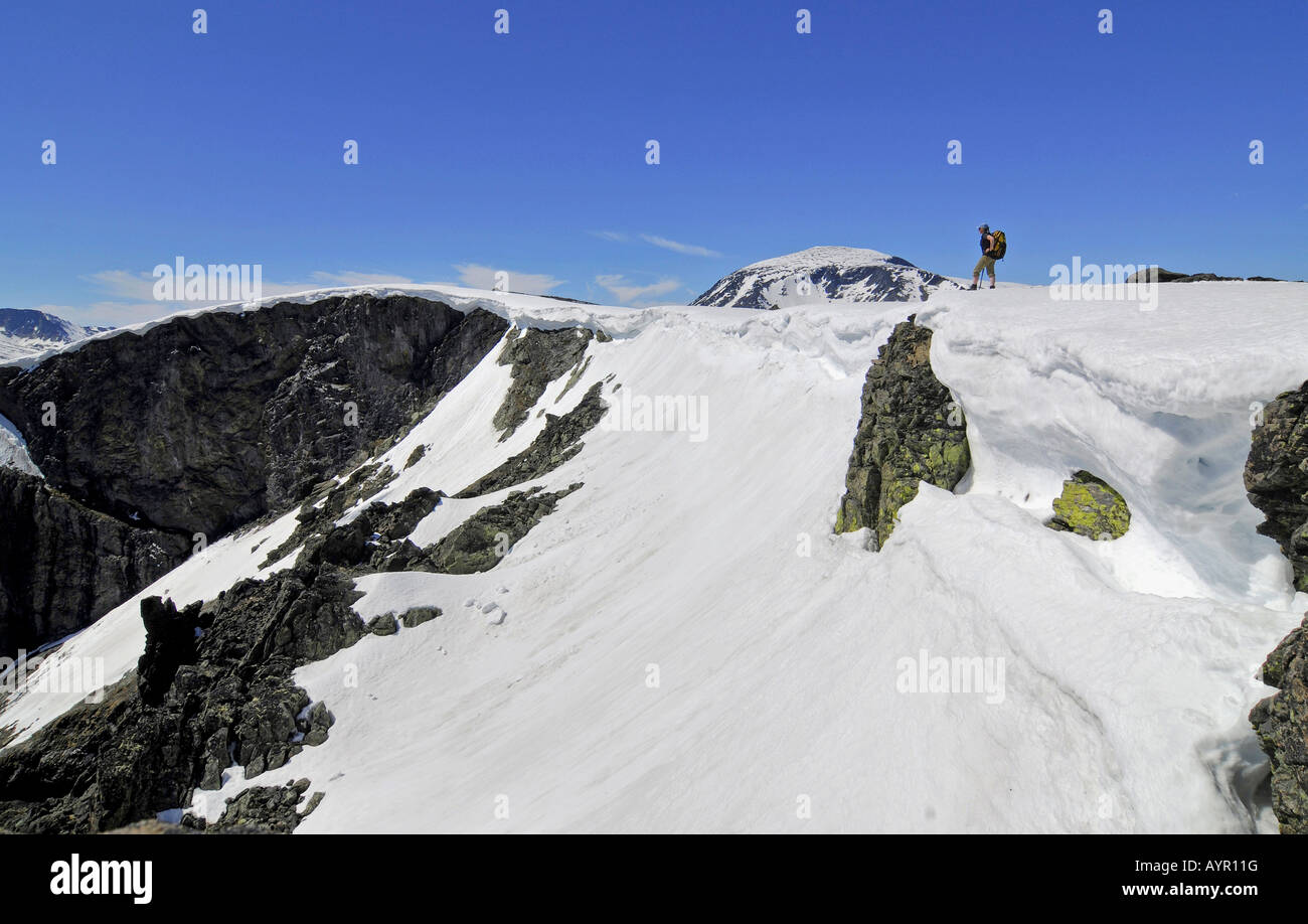 Cornice park hi-res stock photography and images - Alamy