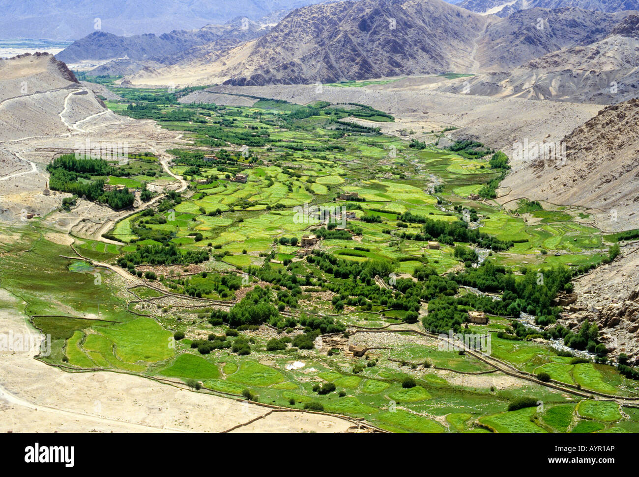 Aerial shot of an agricultural area, barley, near Leh, Indus River ...