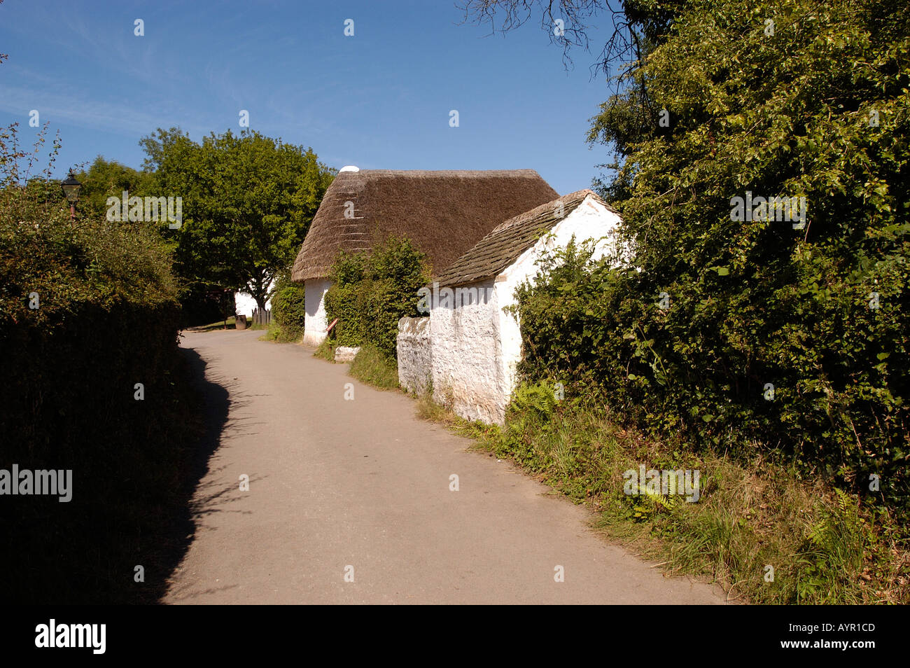 Traditional thatched cottage house at the Museum of Welsh Life St ...
