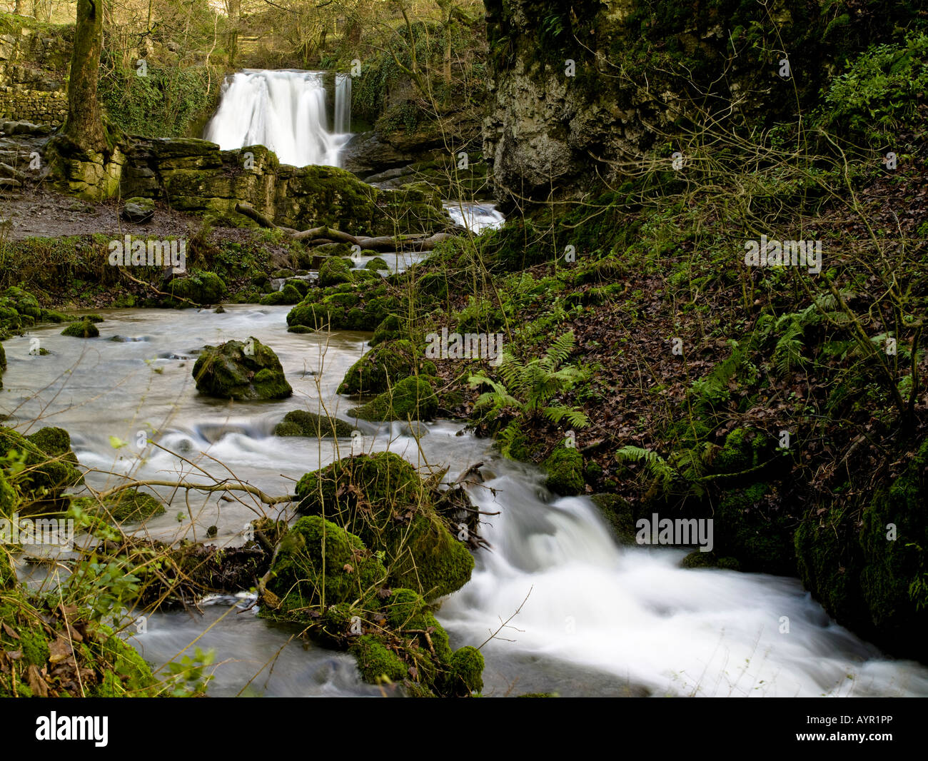 Janet s Foss Malhamdale Yorkshire Dales National Park England Stock ...