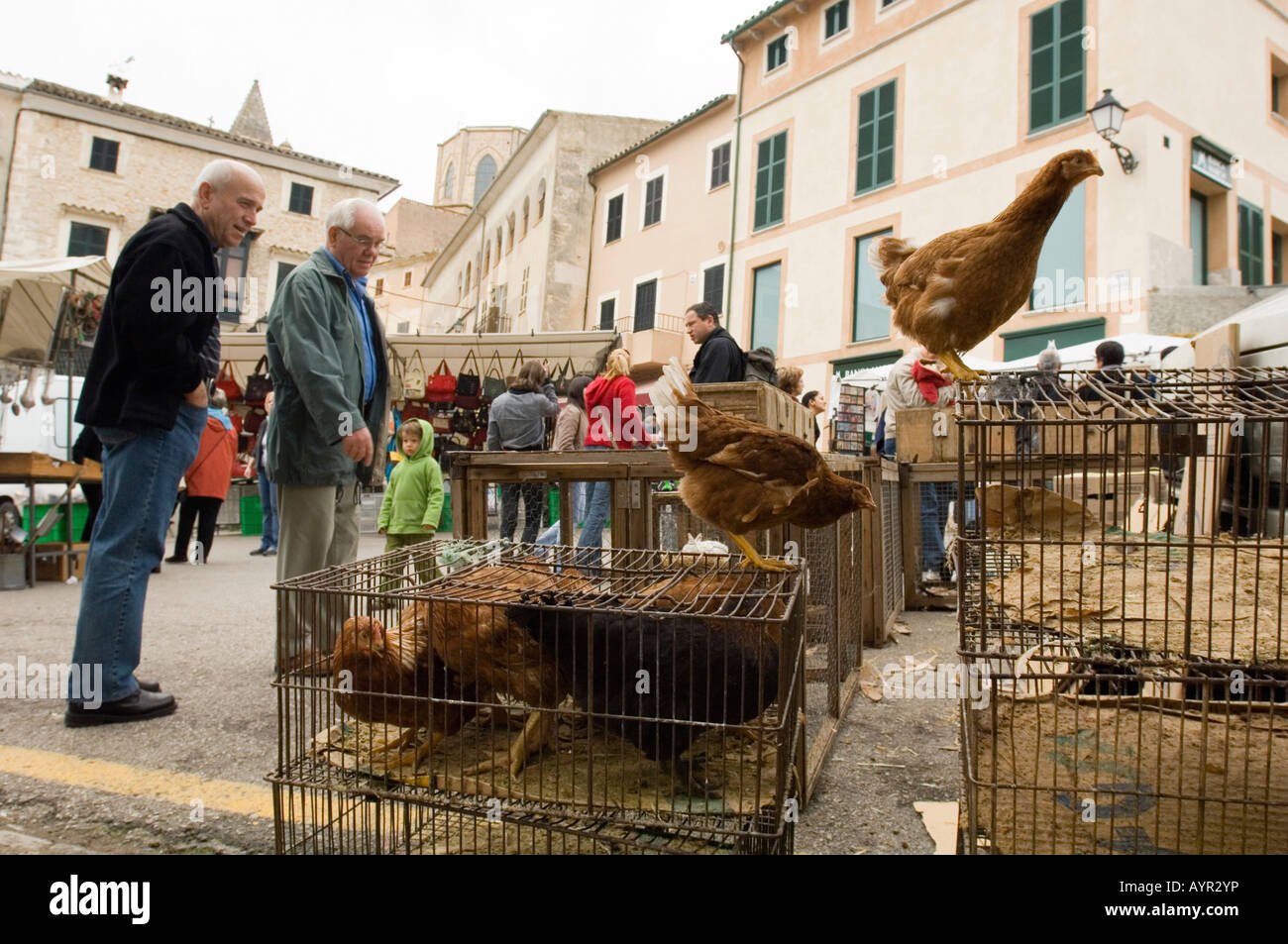 Hen and chicken islands hi-res stock photography and images - Alamy
