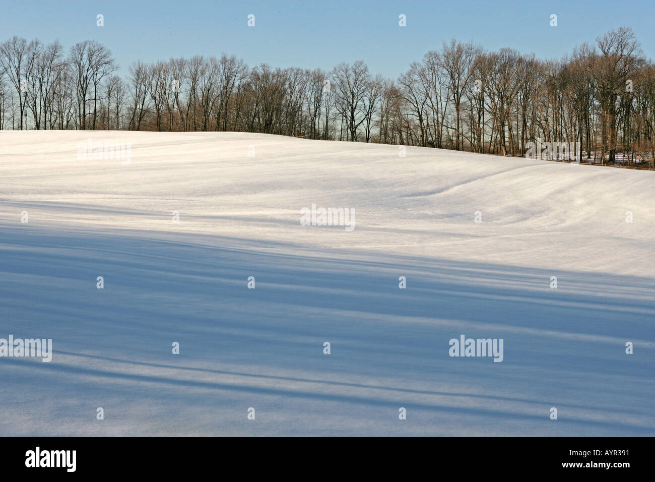 A snow covered field in winter with the shadows of trees stretching ...