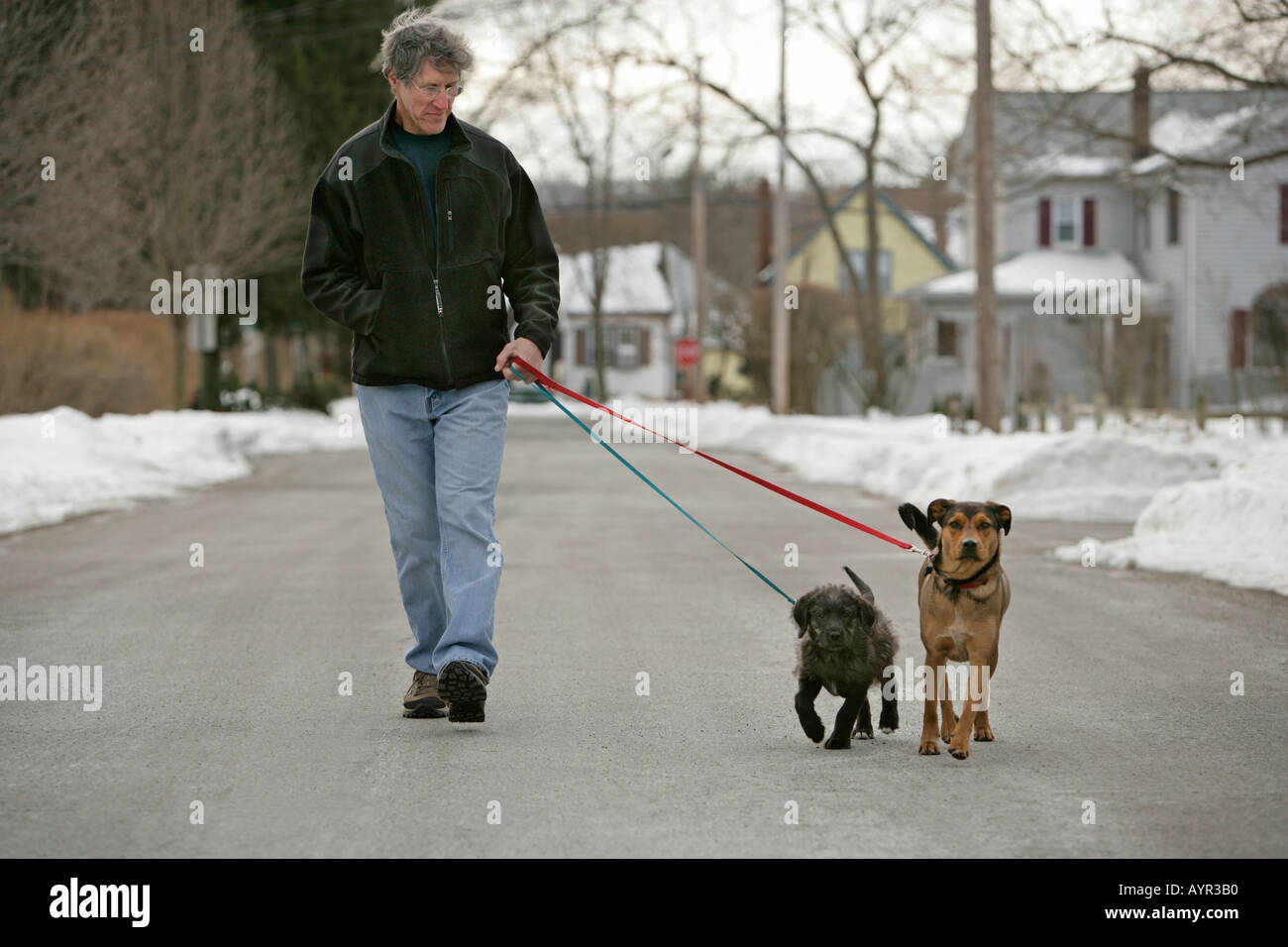Man with a dogs hi-res stock photography and images - Alamy