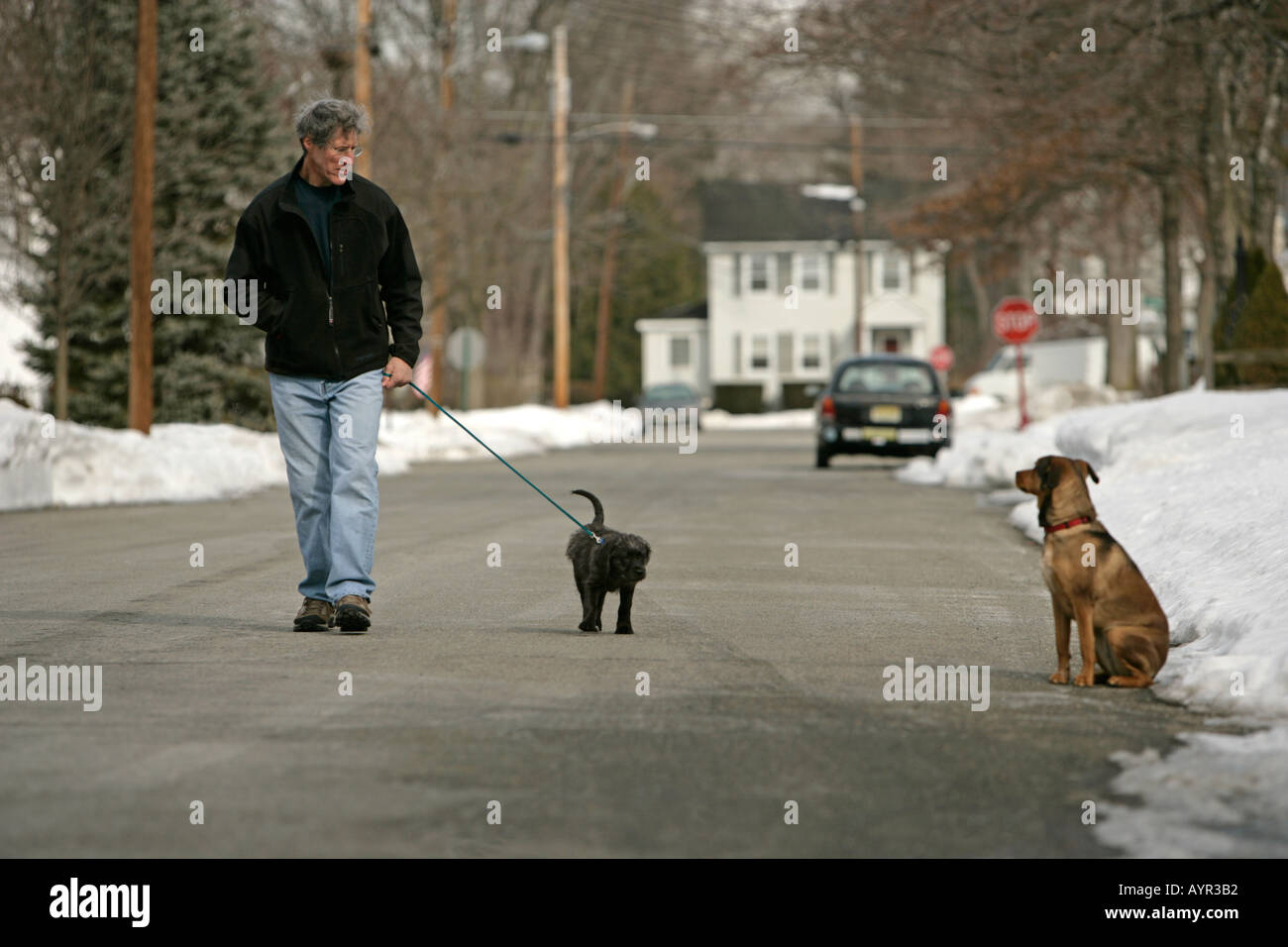 Man with a dogs hi-res stock photography and images - Alamy