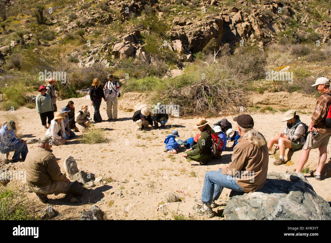 Joshua Tree National Park, California; park ranger talking about Chia ...