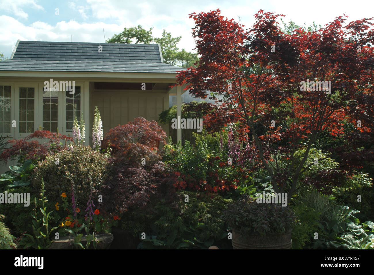 Chlesea flower show hi-res stock photography and images - Alamy