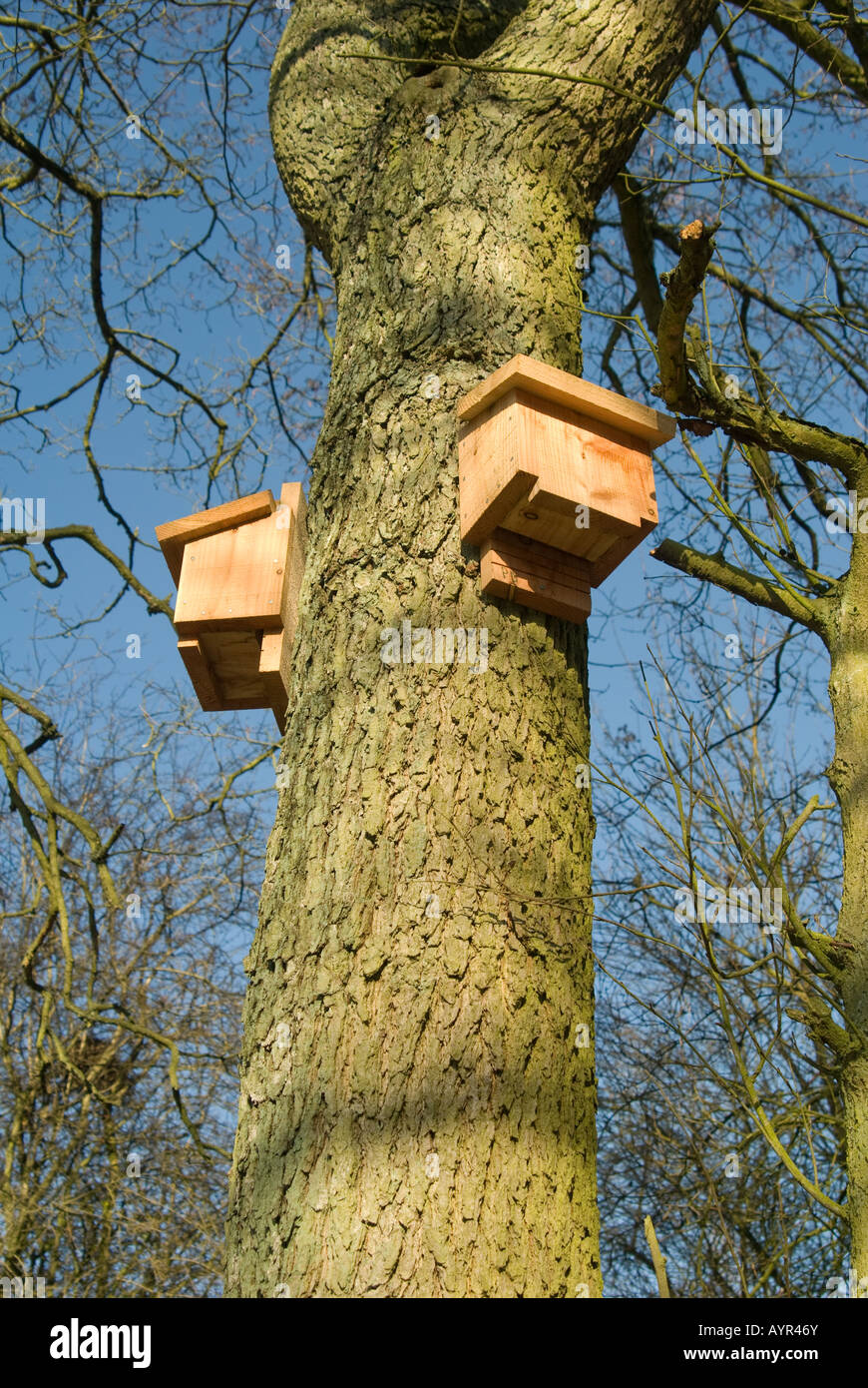 Bat Boxes Stock Photos & Bat Boxes Stock Images - Alamy
