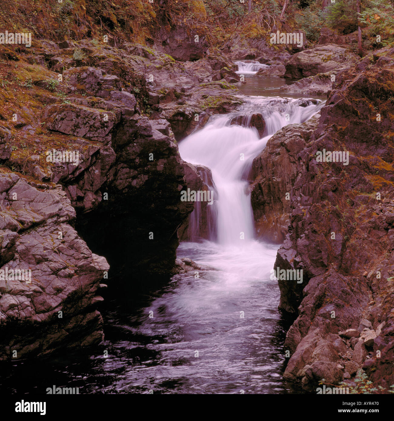 Little qualicum river falls provincial park hi-res stock photography ...