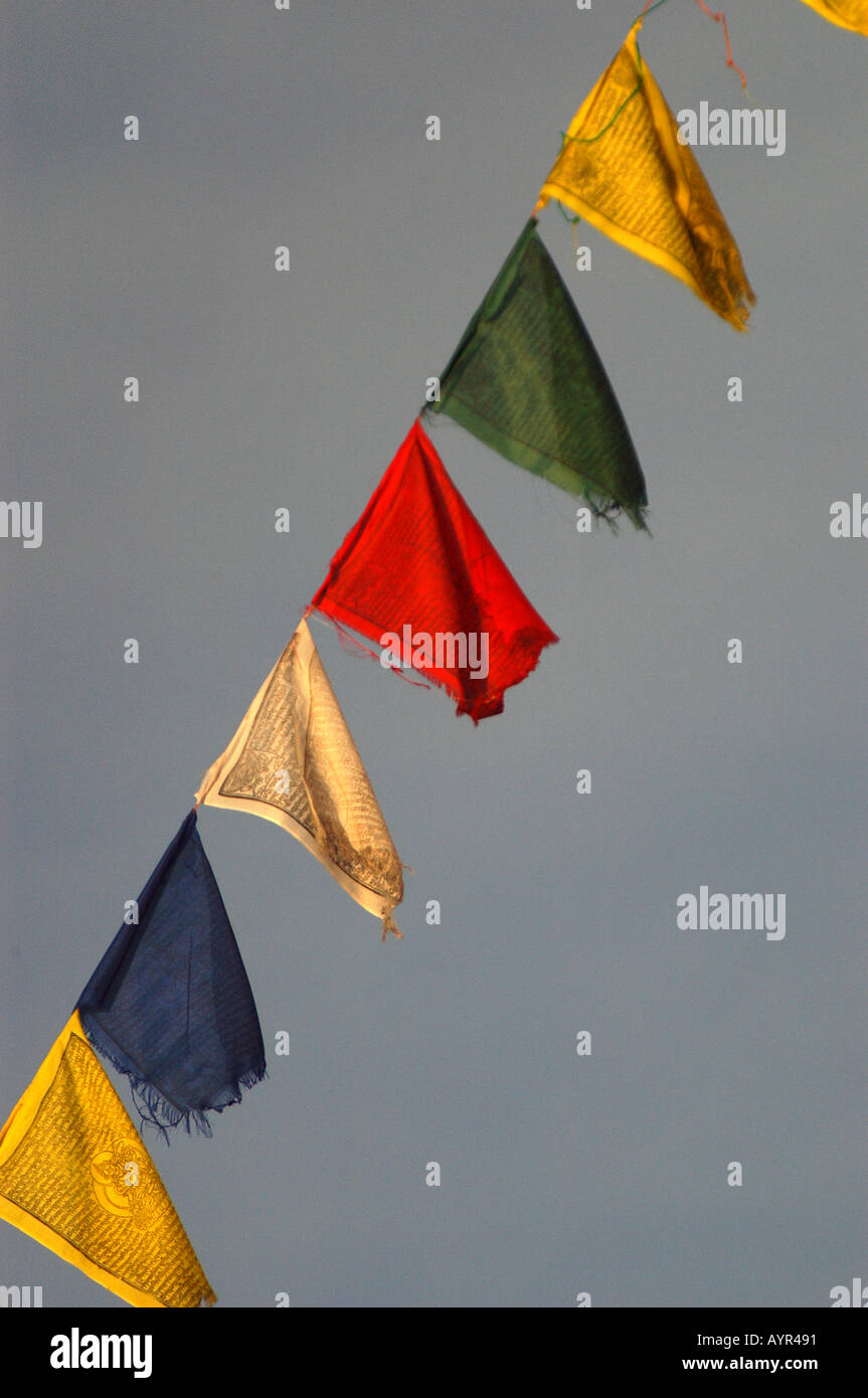String of Buddhist prayer flags in India Stock Photo - Alamy