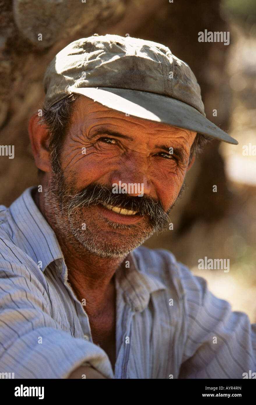 Goatherd (goat shepherd), Rhodos Island, Dodecanese Islands, Aegean ...