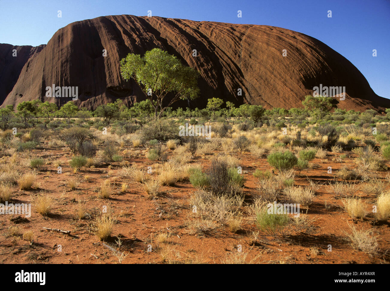 Ayers Rock, Uluru, Red Centre, Northern Territory, Australia Stock ...