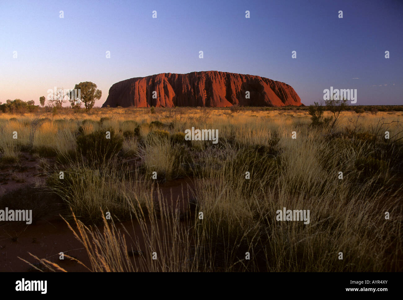 Australia red centre hi-res stock photography and images - Alamy