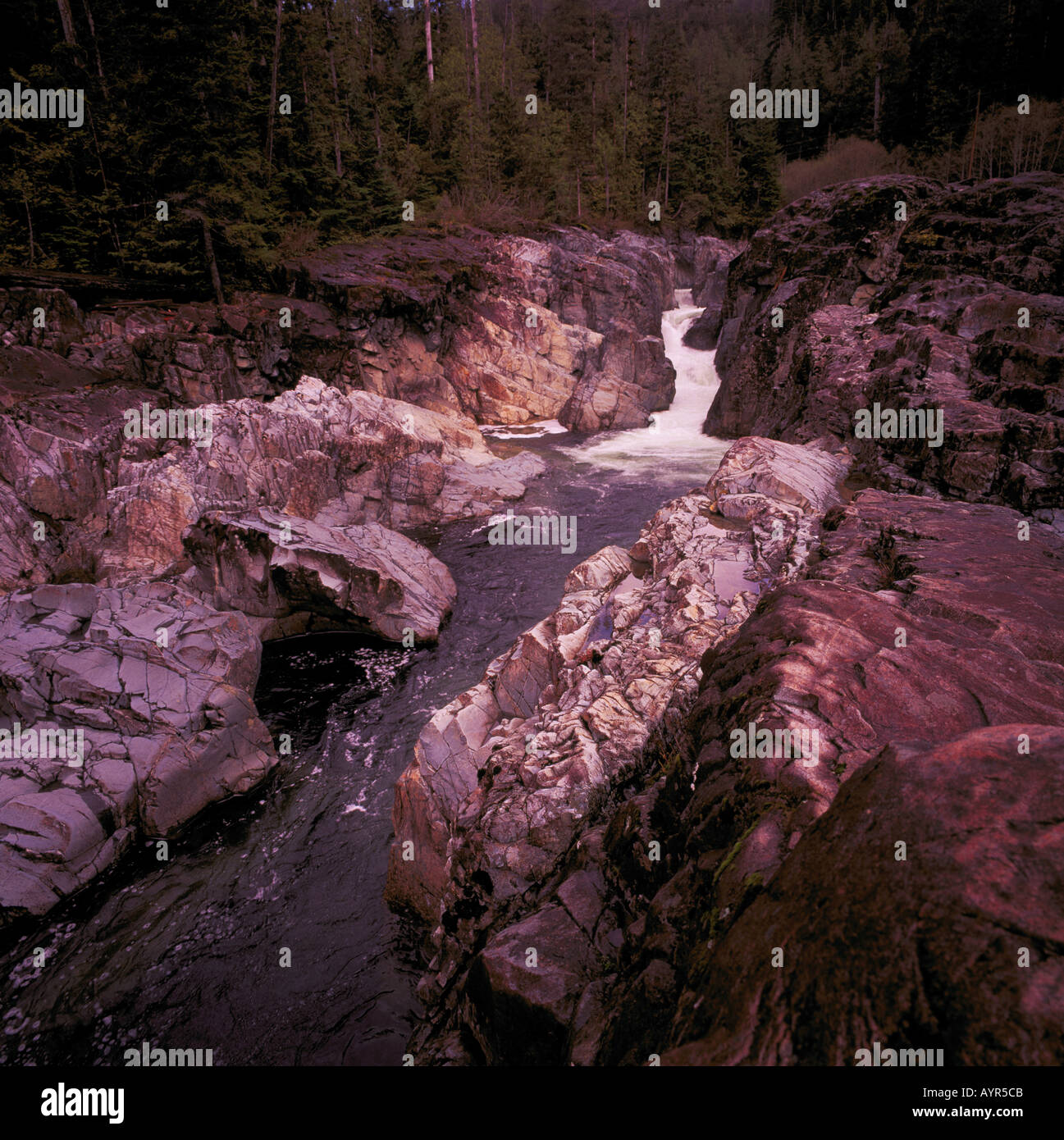 Kennedy River along Pacific Rim Highway 4 to the Pacific West Coast of ...