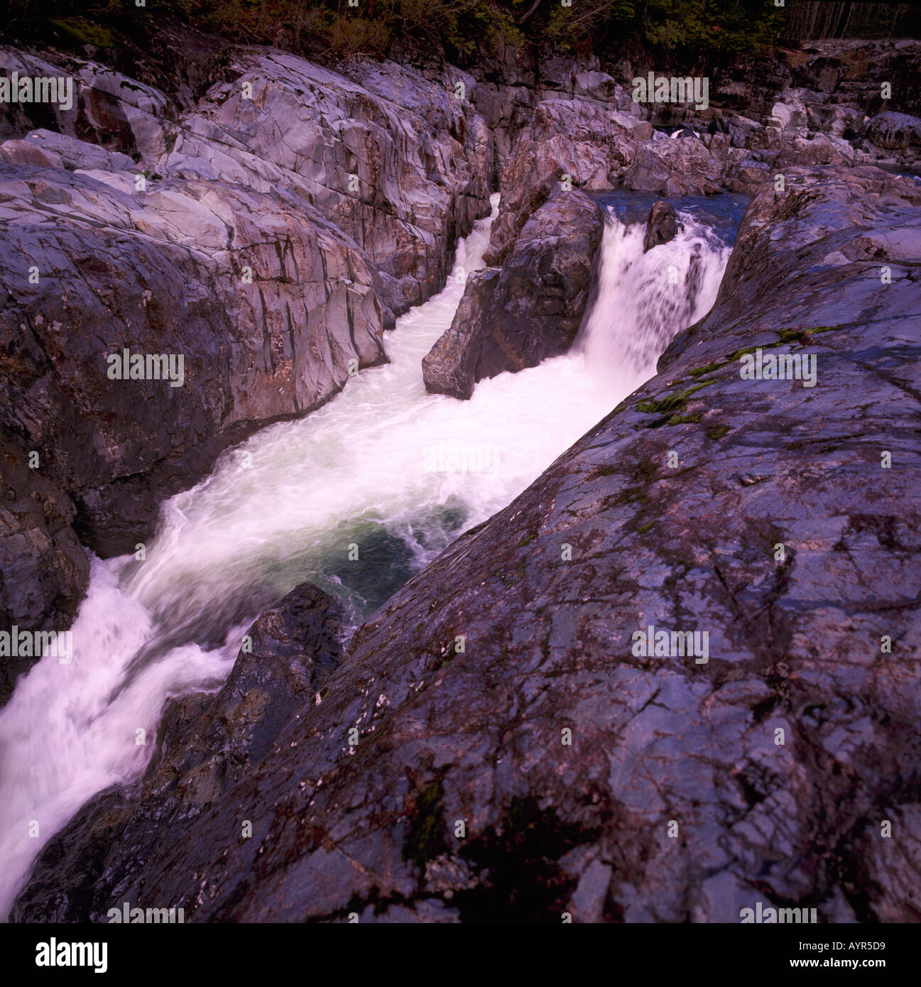 Kennedy River along Pacific Rim Highway 4 to the Pacific West Coast of ...