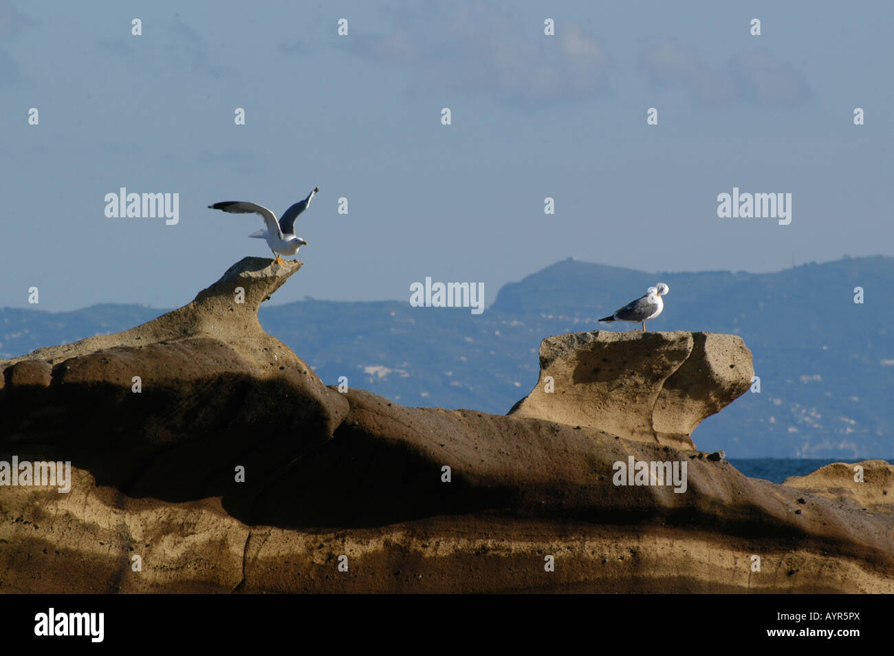 Gaiola - Posillipo Napoli Campania Italia - Europe South Italy Stock ...