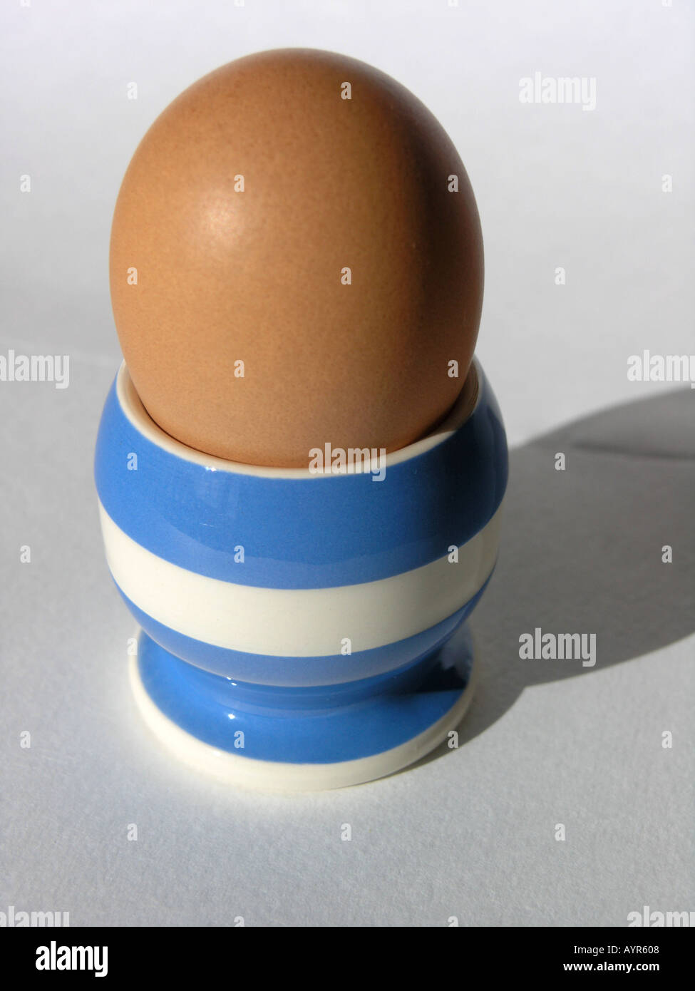 Brown hens eggs in blue hi-res stock photography and images - Alamy