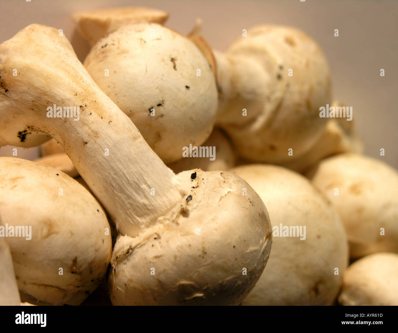 Small button hi-res stock photography and images - Alamy