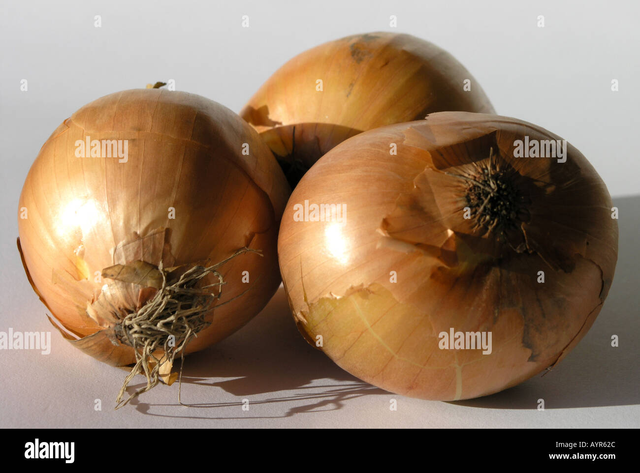 Three golden onions hi-res stock photography and images - Alamy