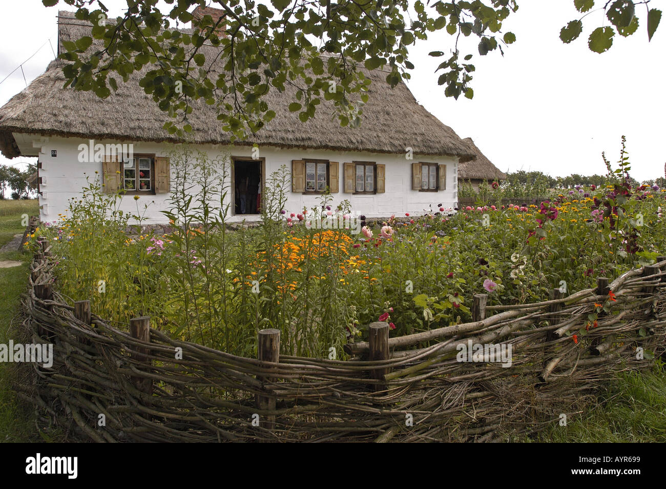 Old Polish white wooden house with thatched roof from Mazowsze Open Air ...