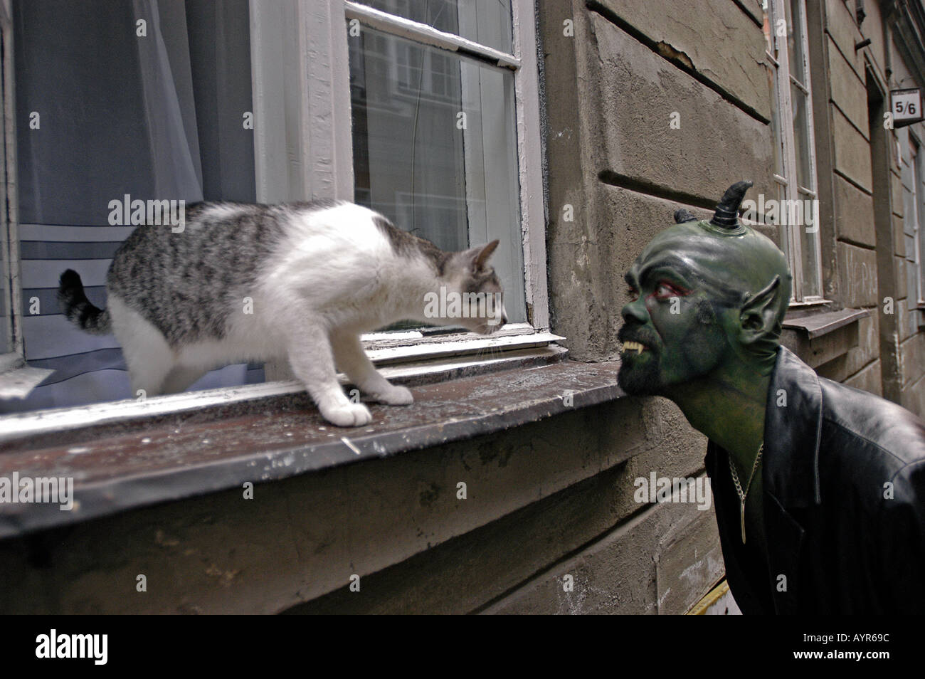 Devil cat hi-res stock photography and images - Alamy