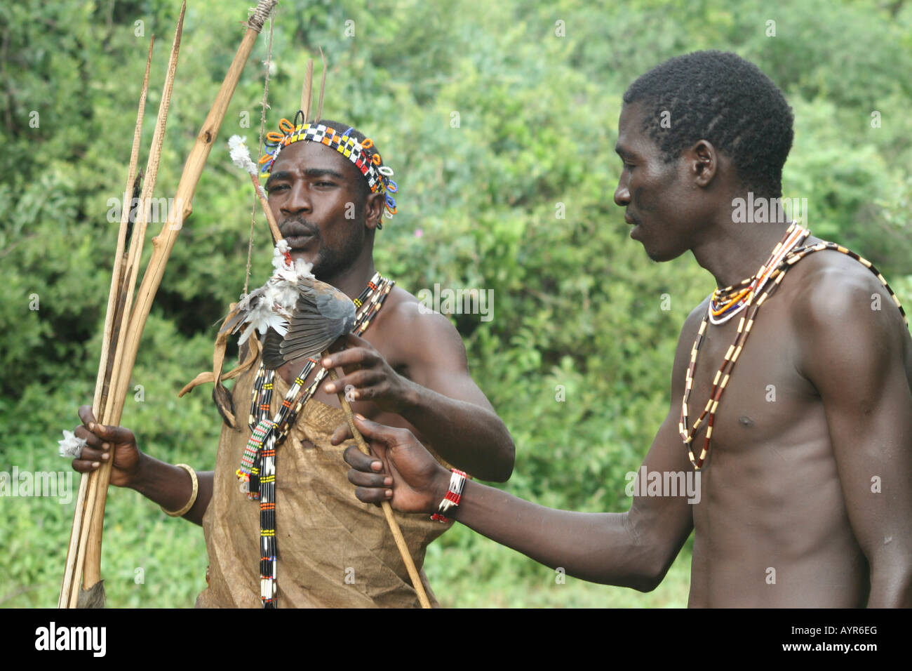 Africa Tanzania Lake Eyasi Hadza male with a bird spiked on an arrow ...
